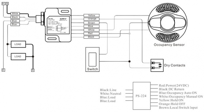 24VDC Dual-Technology Occupancy Sensor